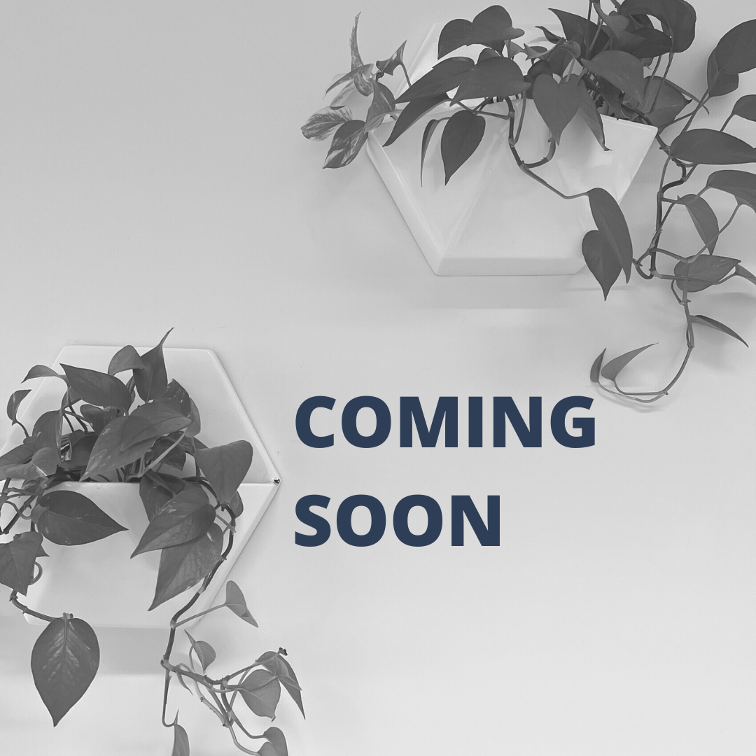 Sophie James - Joyce Property